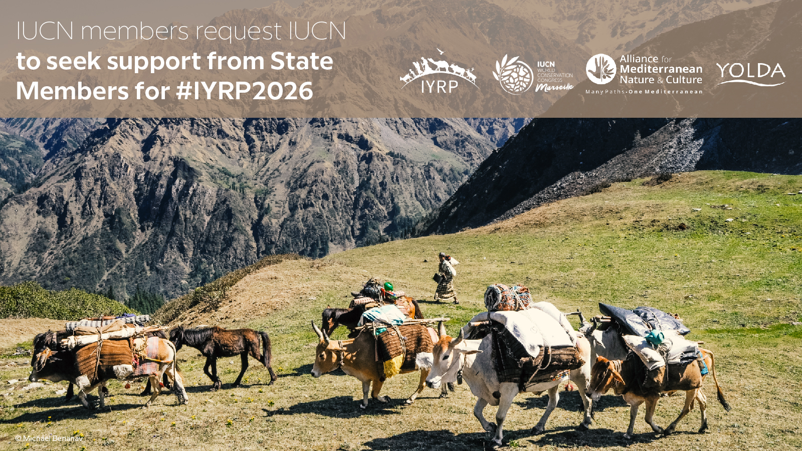 Important IYRP decision at IUCN WCC - Yolda