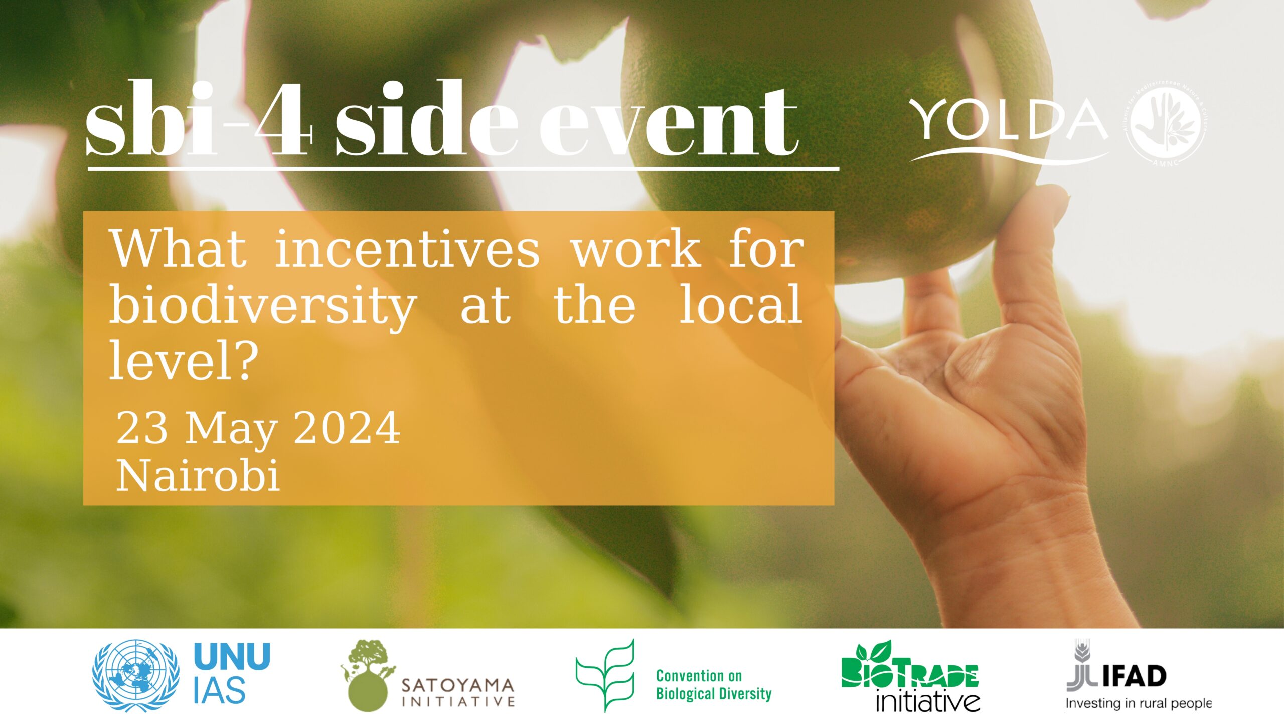 SBI-4 Side Event: What incentives work for biodiversity at the local level? - Yolda