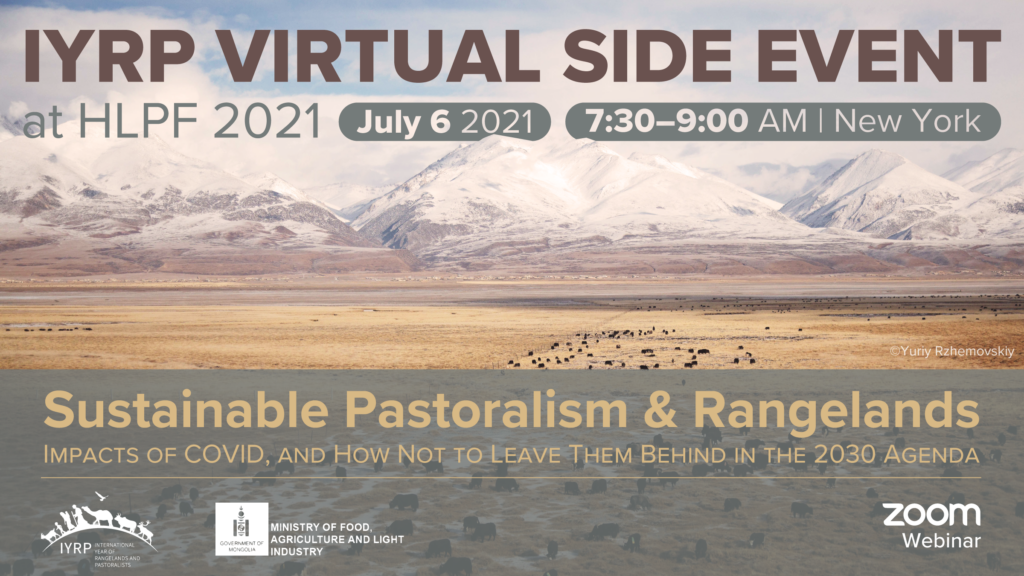 IYRP Virtual Side Event at HLPF - Yolda
